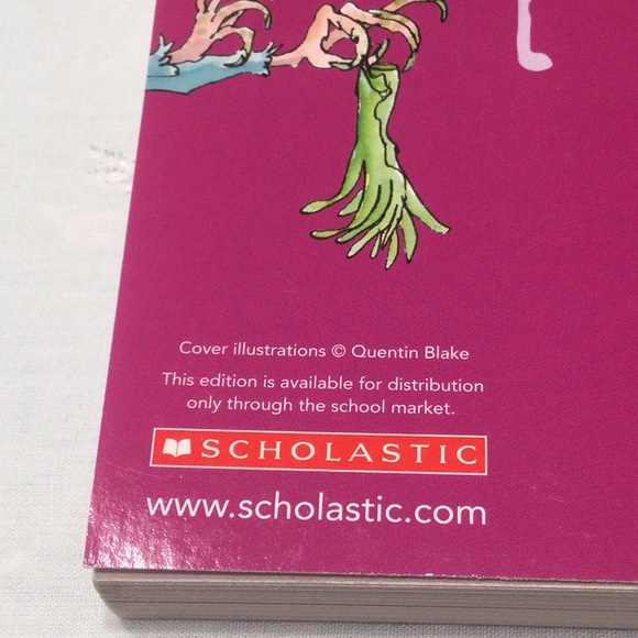 Scholastic | Other | Roald Dahl The Witches Paperback Book Illustrated ...